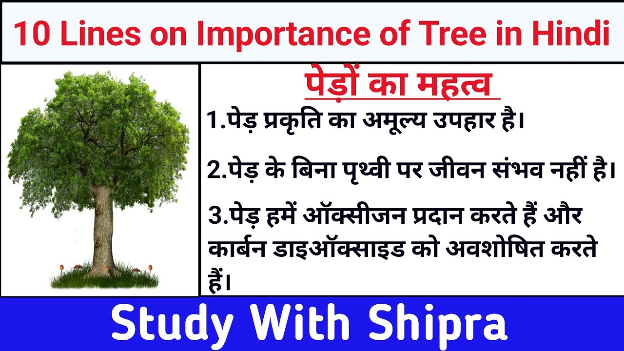 10 Lines on Importance of Tree in Hindi |Tree |10 पंक्तियां पेड़ों के ...