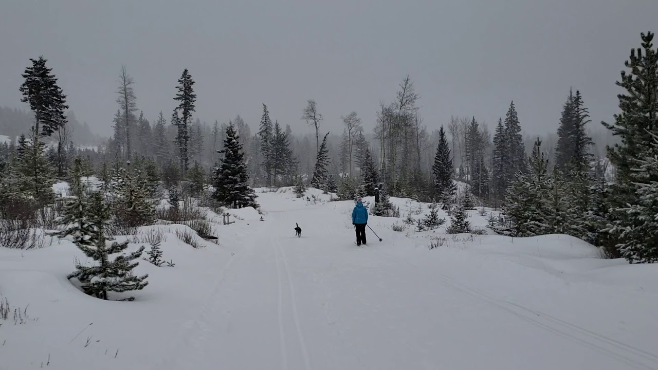 Stake lake xc skiing 02.22.19 - YouTube