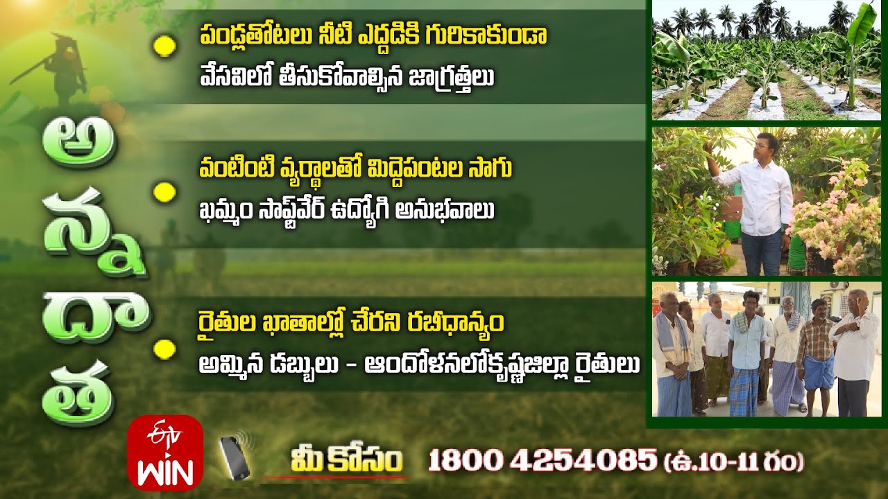 17th March 2024 | Annadata | అన్నదాత | Full Episode | ETV Telugu - YouTube