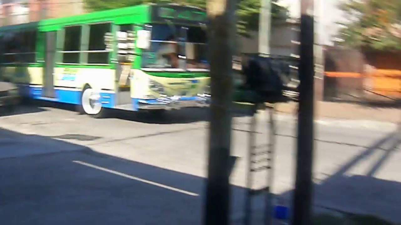 Linea 247 Interno 23 - YouTube