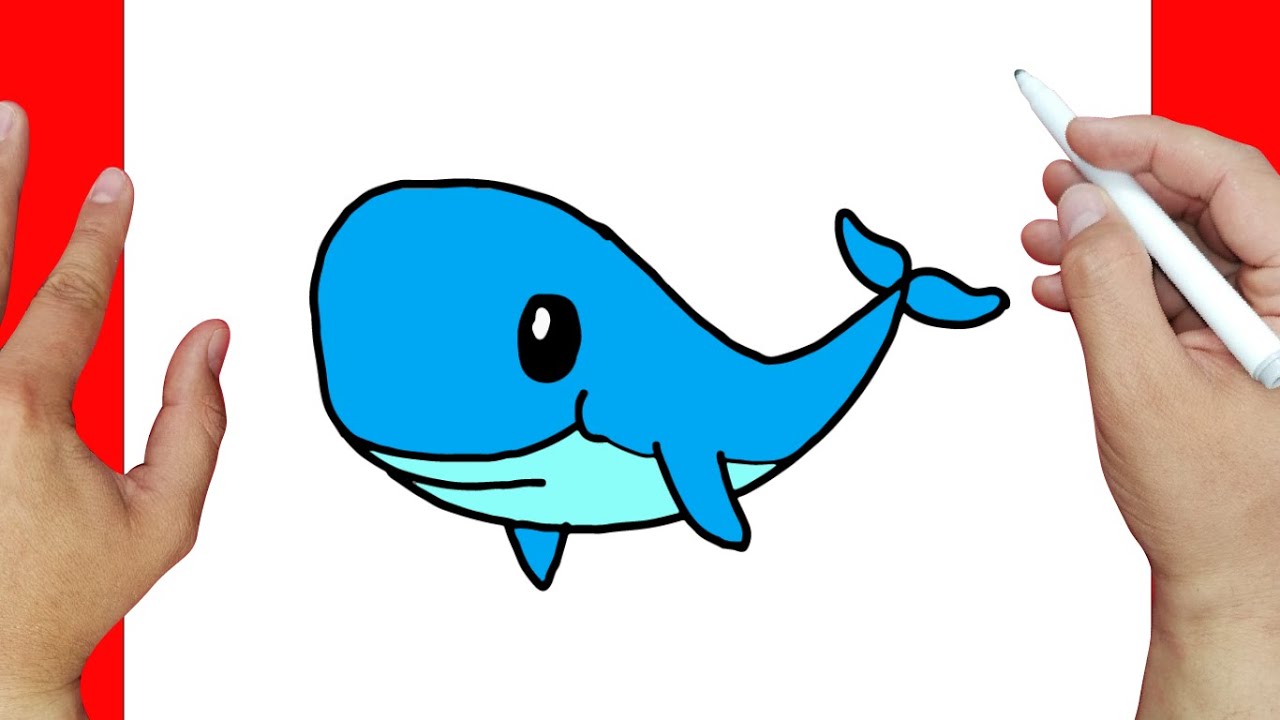 Cómo Dibujar Una Ballena De Dibujos Animados