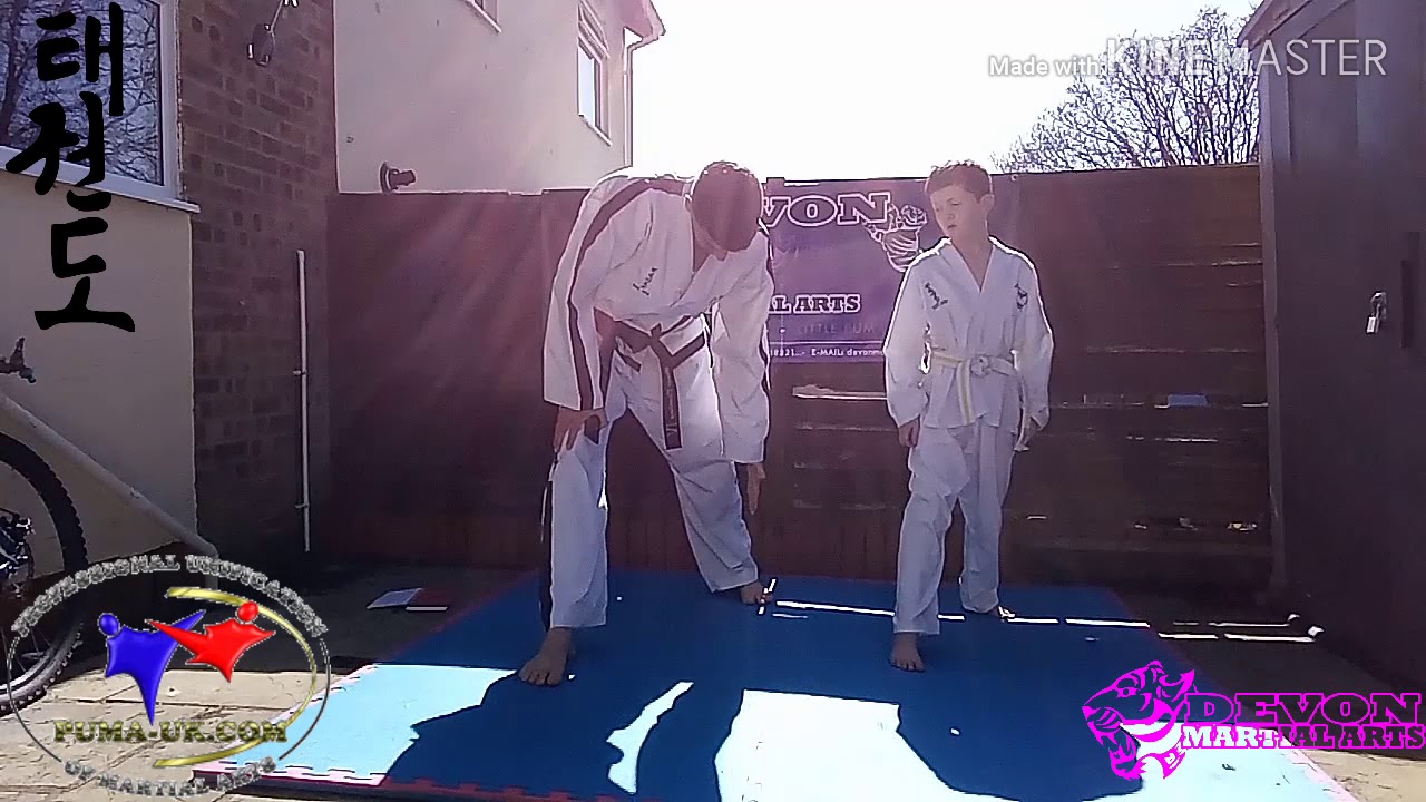 TKD Front Snap Kick, Double Punch - YouTube