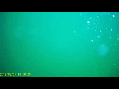 " Sidro moje duse u tvom moru leži..." - YouTube