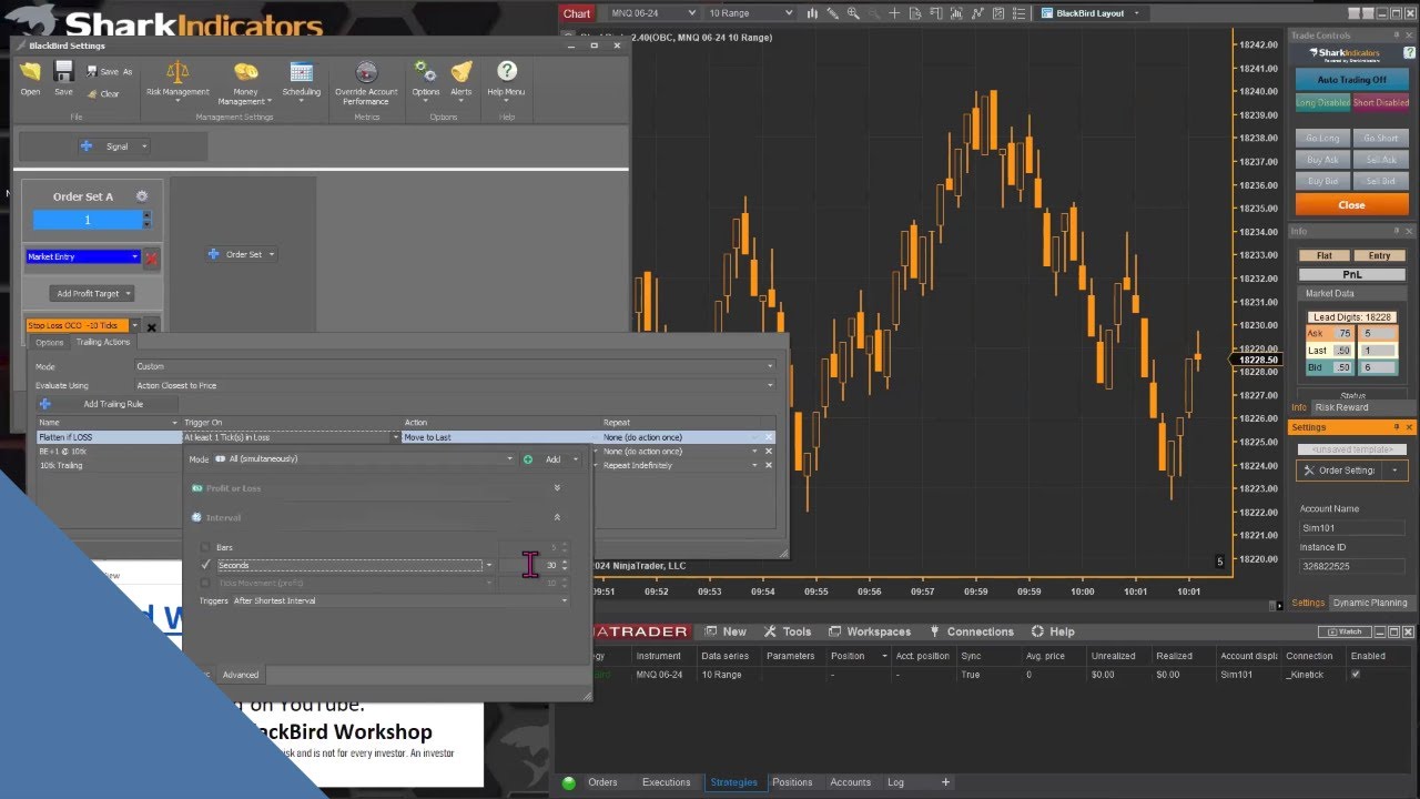 BlackBird - Flatten a Losing Trade After 30 Seconds - YouTube