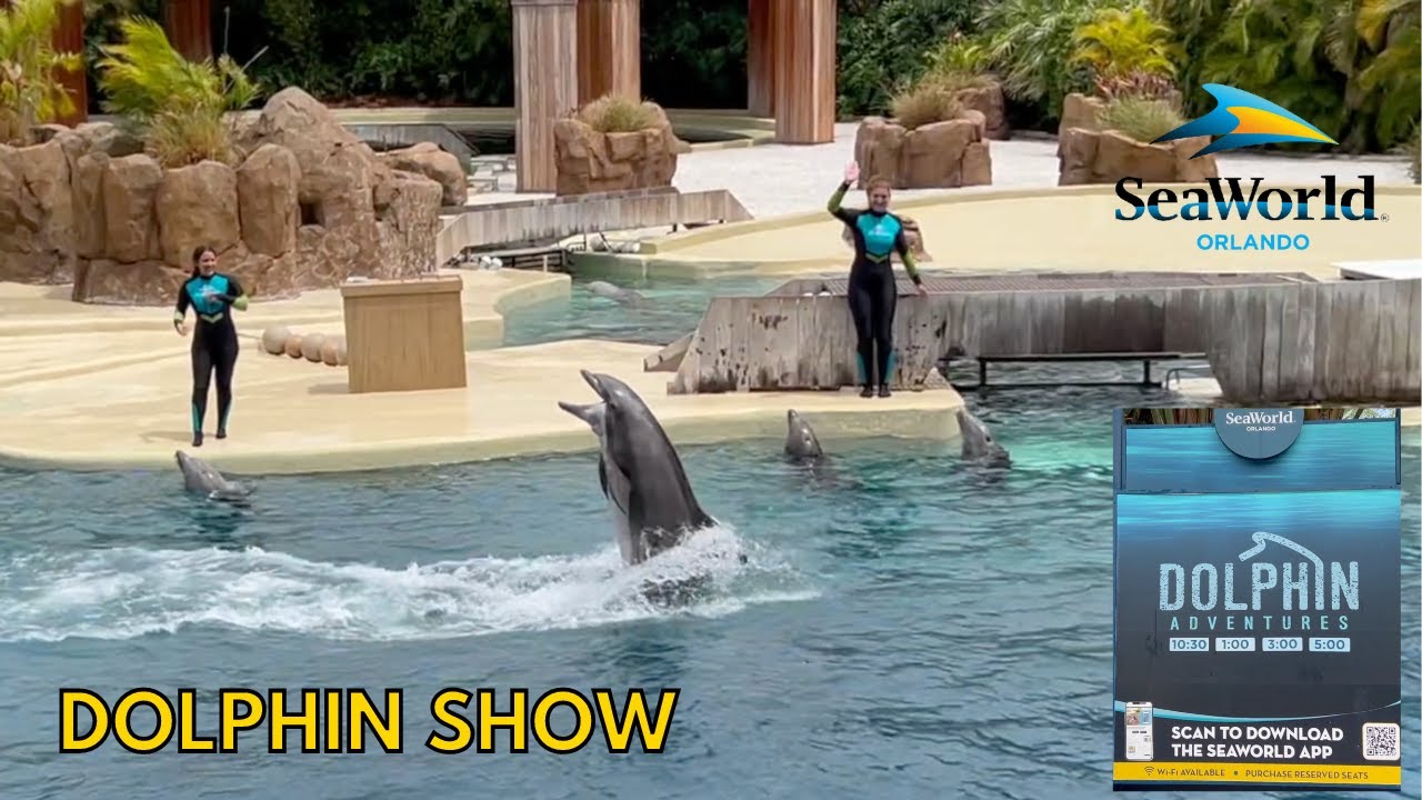 DOLPHIN ADVENTURES FULL SHOW EXPERIENCE (NEW SHOW 2023)AT SEAWORLD ...