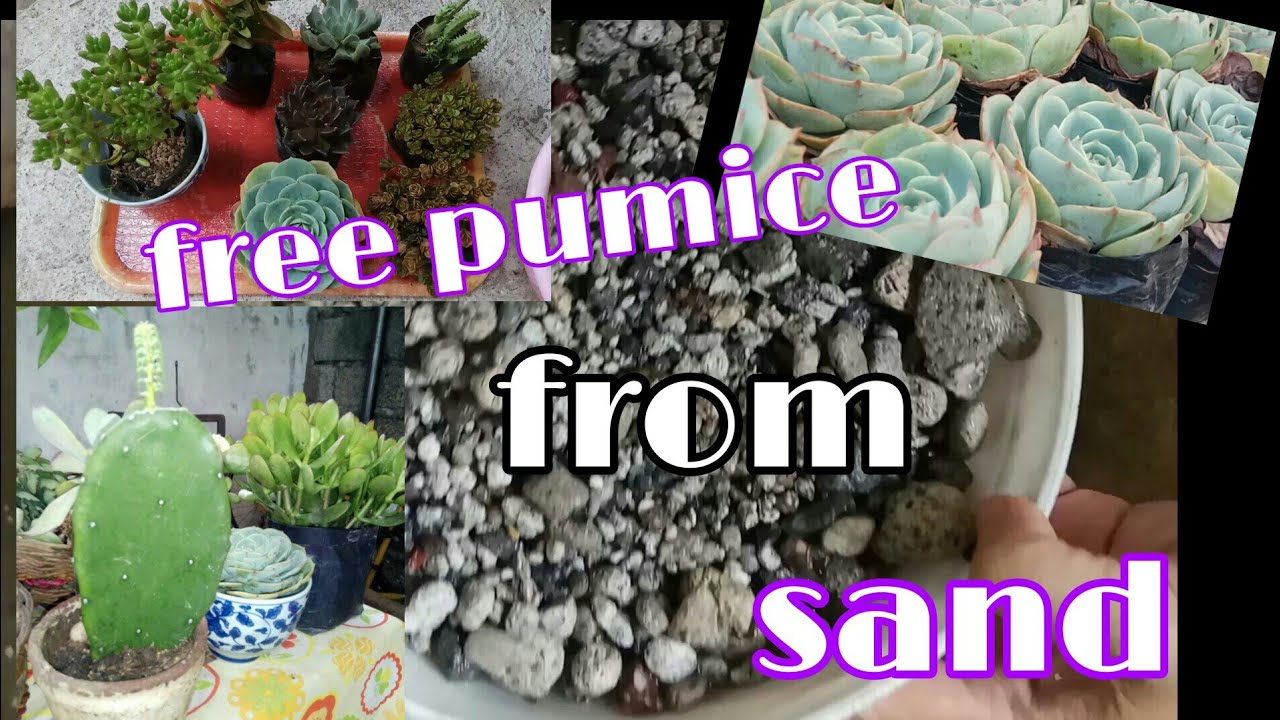 Get free pumice from sand to add to your DIY soil mix - YouTube