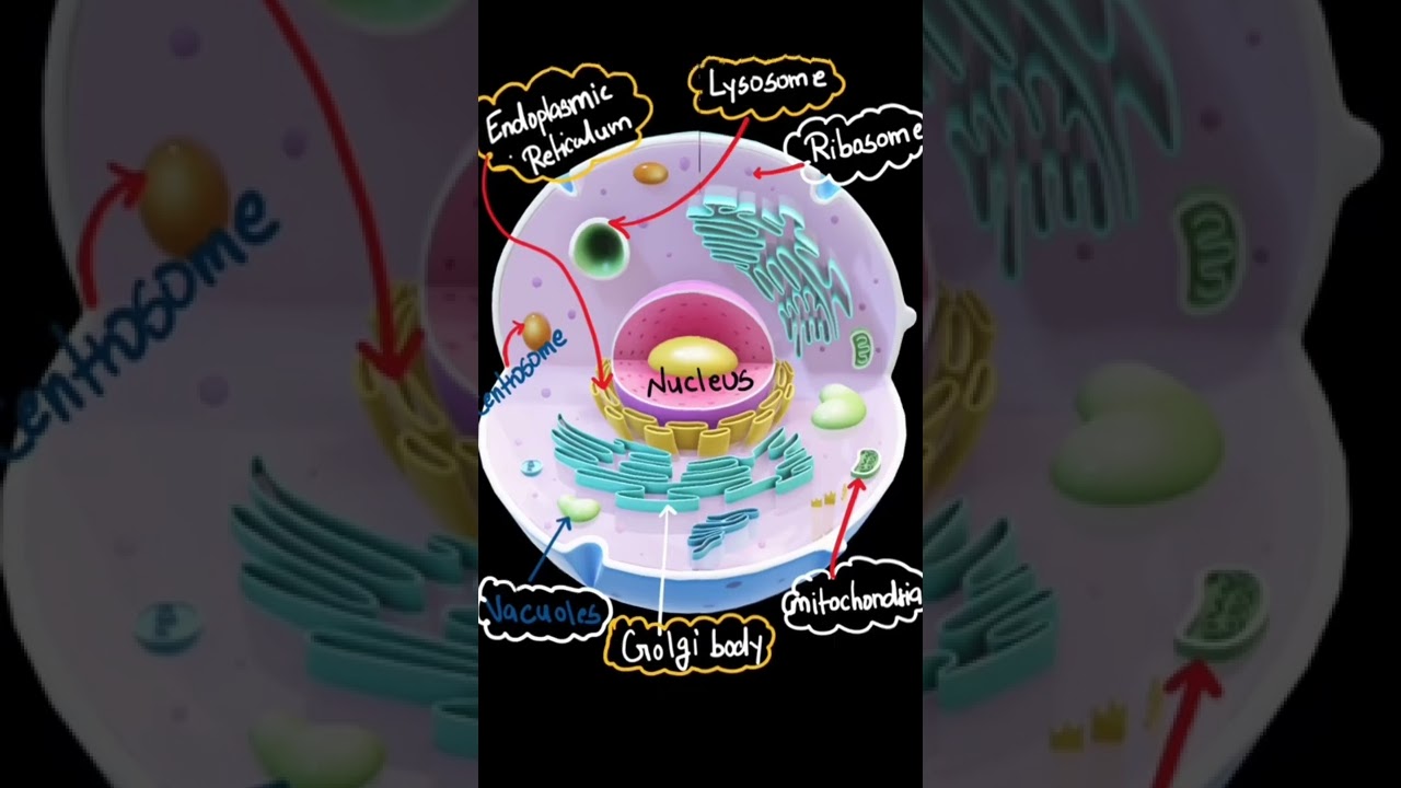 What is cell & discovered#knowledge #popular #cell #itsgyanibaba # ...