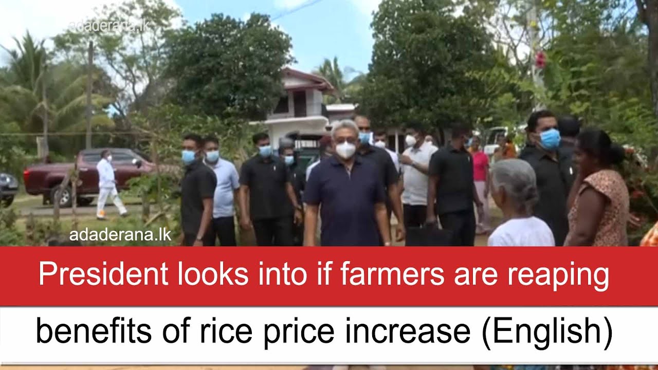 President looks into if farmers are reaping benefits of rice price ...