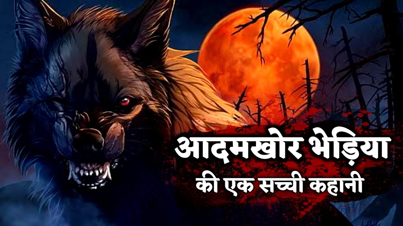 Mystery of Gysinge Maneating Wolf । Gysinge के आदमखोर भेड़िये की सच्ची ...