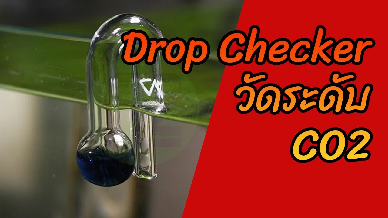 อุปกรณ์วัดค่า CO2 ในน้ำ Drop Checker - YouTube