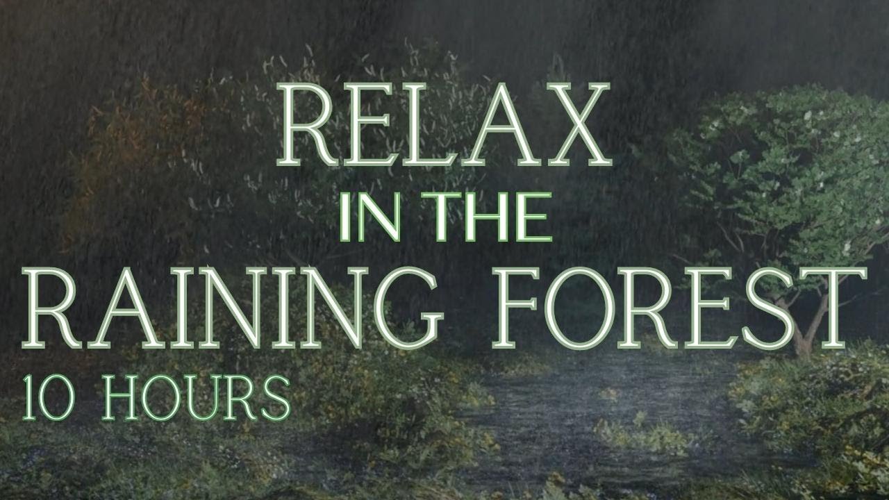 Raining In The Forest | Lush Green Forest | Rain Storm | 10 Hours ...