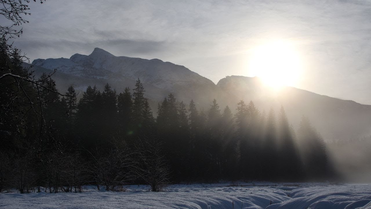 Magic Moments of Winter | Slow Nature - YouTube