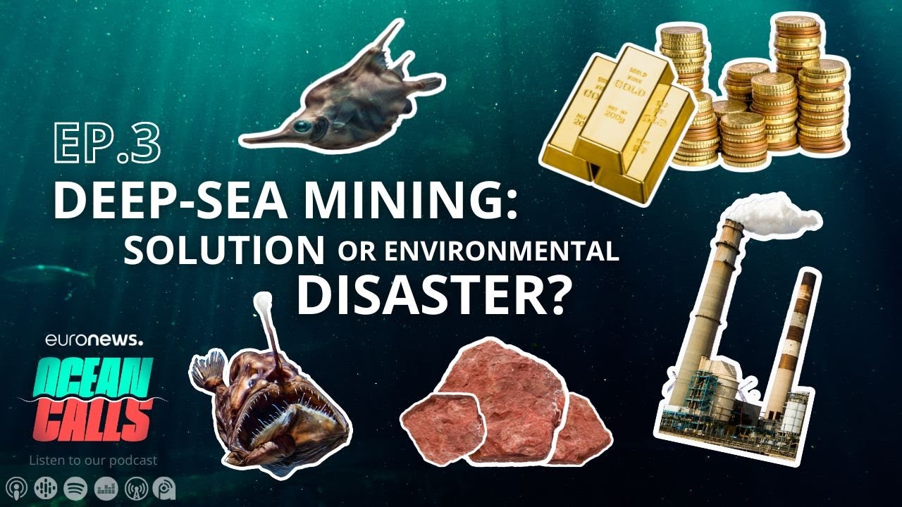 Deep-sea mining: solution or environmental disaster? | Ocean Calls ...
