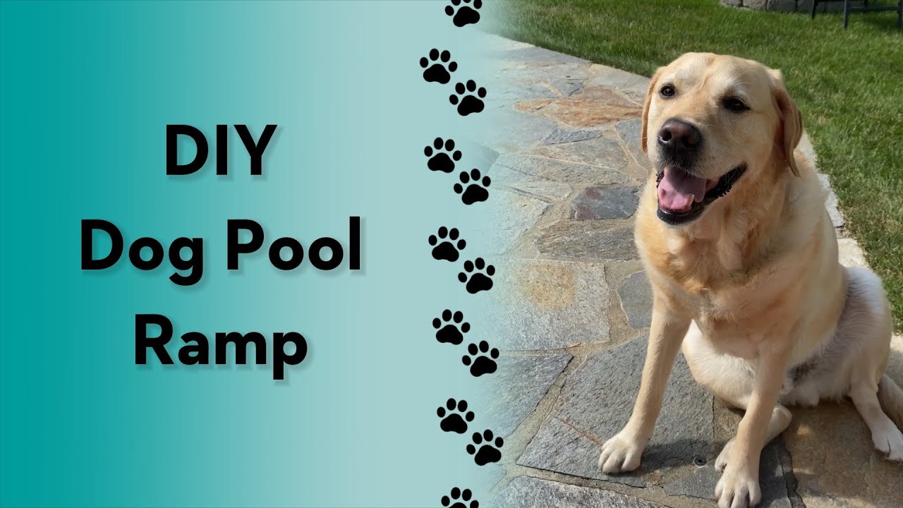 DIY pool ramp for my dog! #howto #tutorial #labrador - YouTube