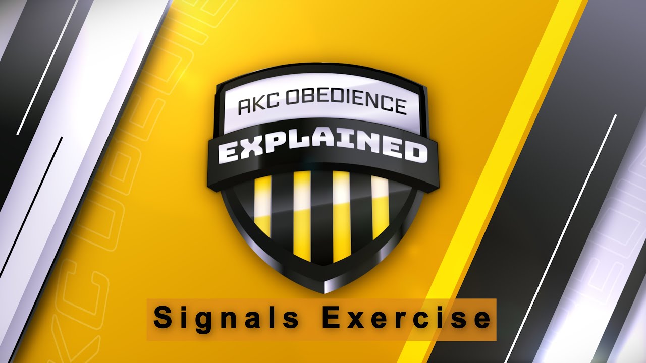 Signal Exercise - YouTube