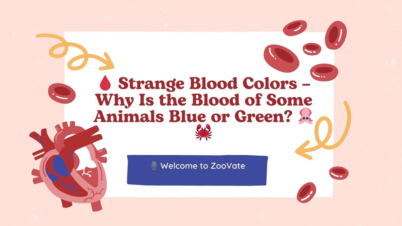 🩸 Strange Blood Colors – Why Is the Blood of Some Animals Blue or Green ...
