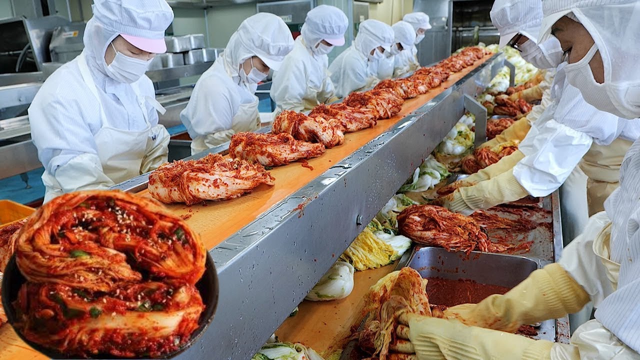 Large Amount Kimchi Making in Korean Kimchi Factory _ 김치공장의 배추김치 만들기 ...