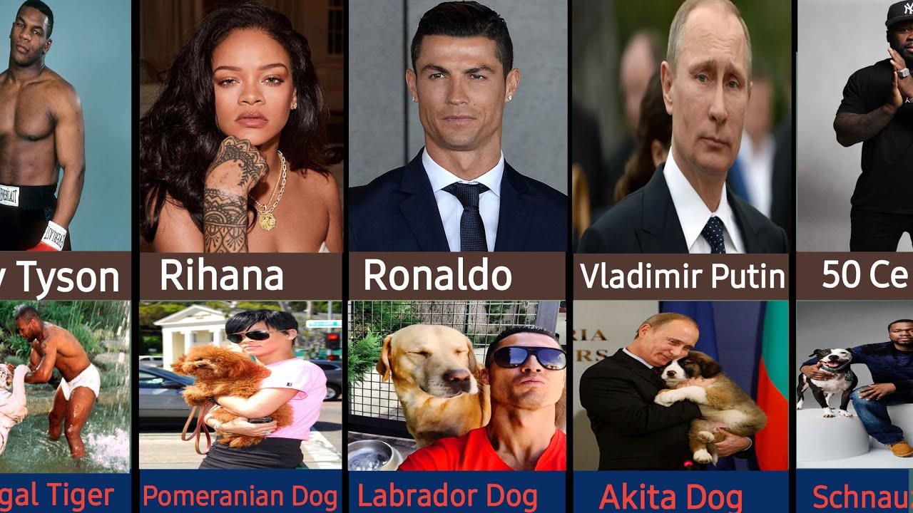 What Is The Most Favorite Pets Of Celebrities ? || Favorite Pets Of ...