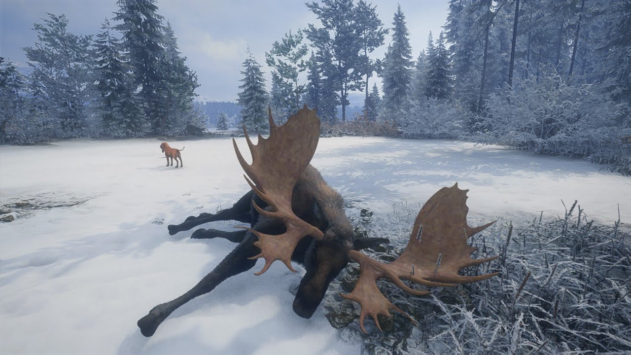 CRAZY Moose HUNTING With .300 MAGNUM RIFLE IN MEDVED TAIGA | Beginner ...