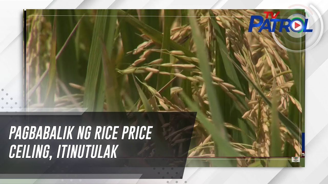 Pagbabalik ng rice price ceiling, itinutulak | TV Patrol - YouTube
