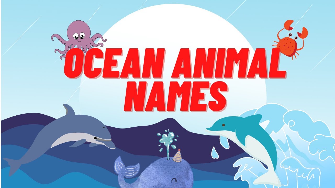 SEA ANIMAL NAMES WITH SPELLINGS | KIDS LEARNING OCEAN ANIMAL NAMES WITH ...