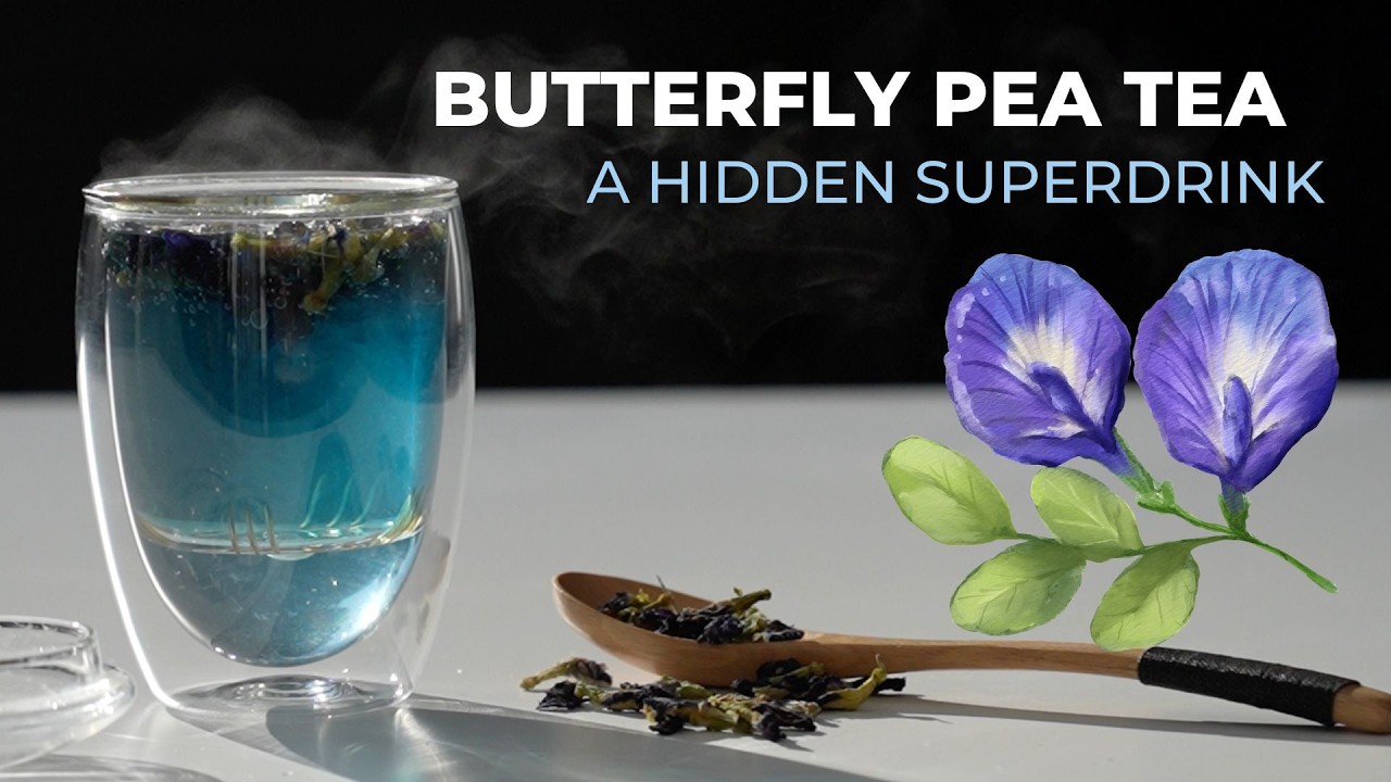 Amazing Health Benefits of Butterfly Pea Tea You Need to Know! - YouTube