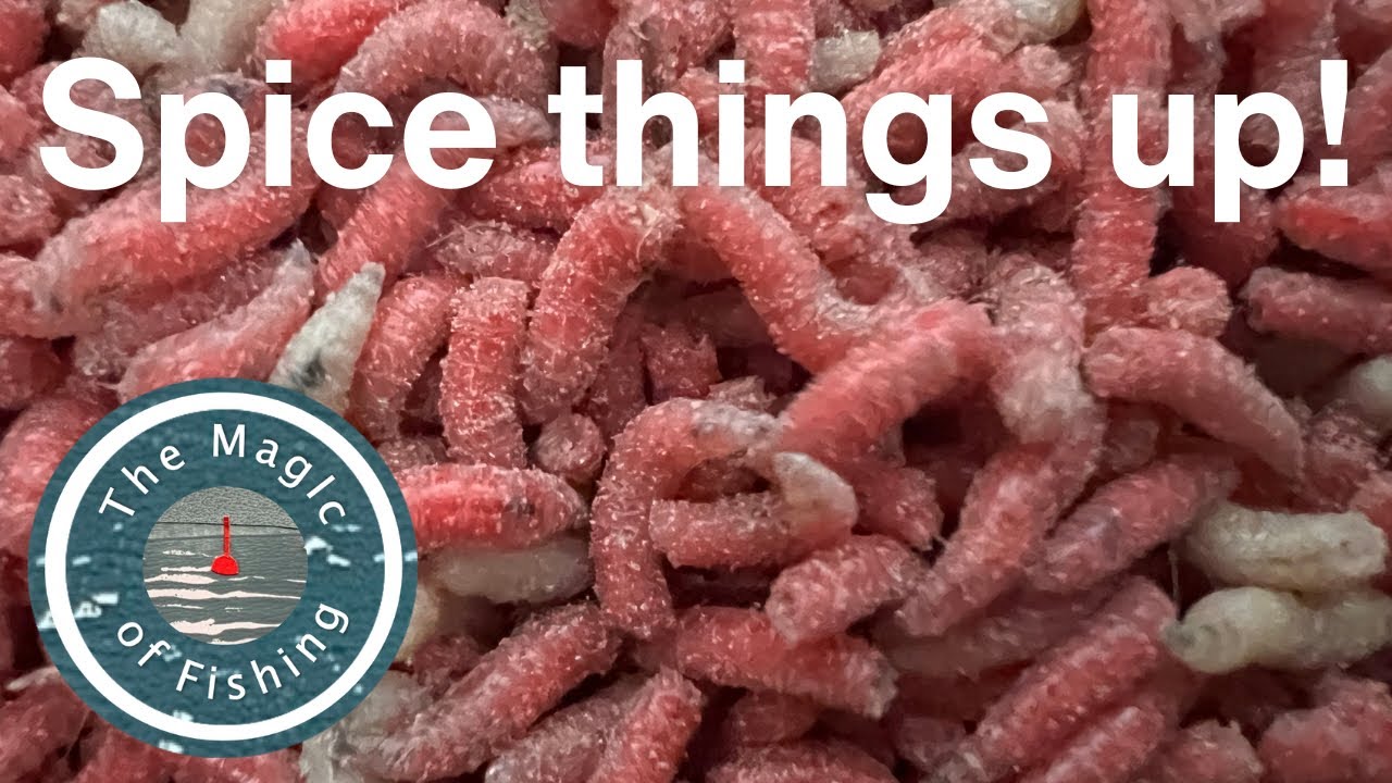 SPICY BAIT - fishing with curried maggots - YouTube