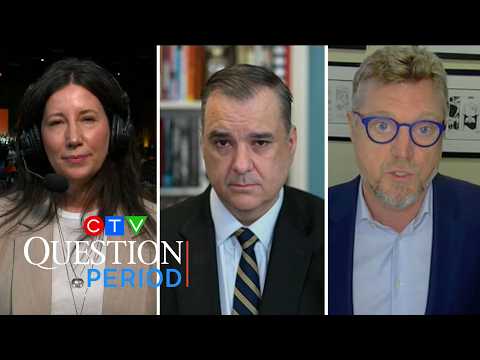 Will Avi Lewis be able to resurrect the NDP Party? | CTV Question Period