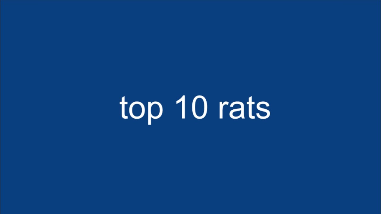 top 10 rats - YouTube
