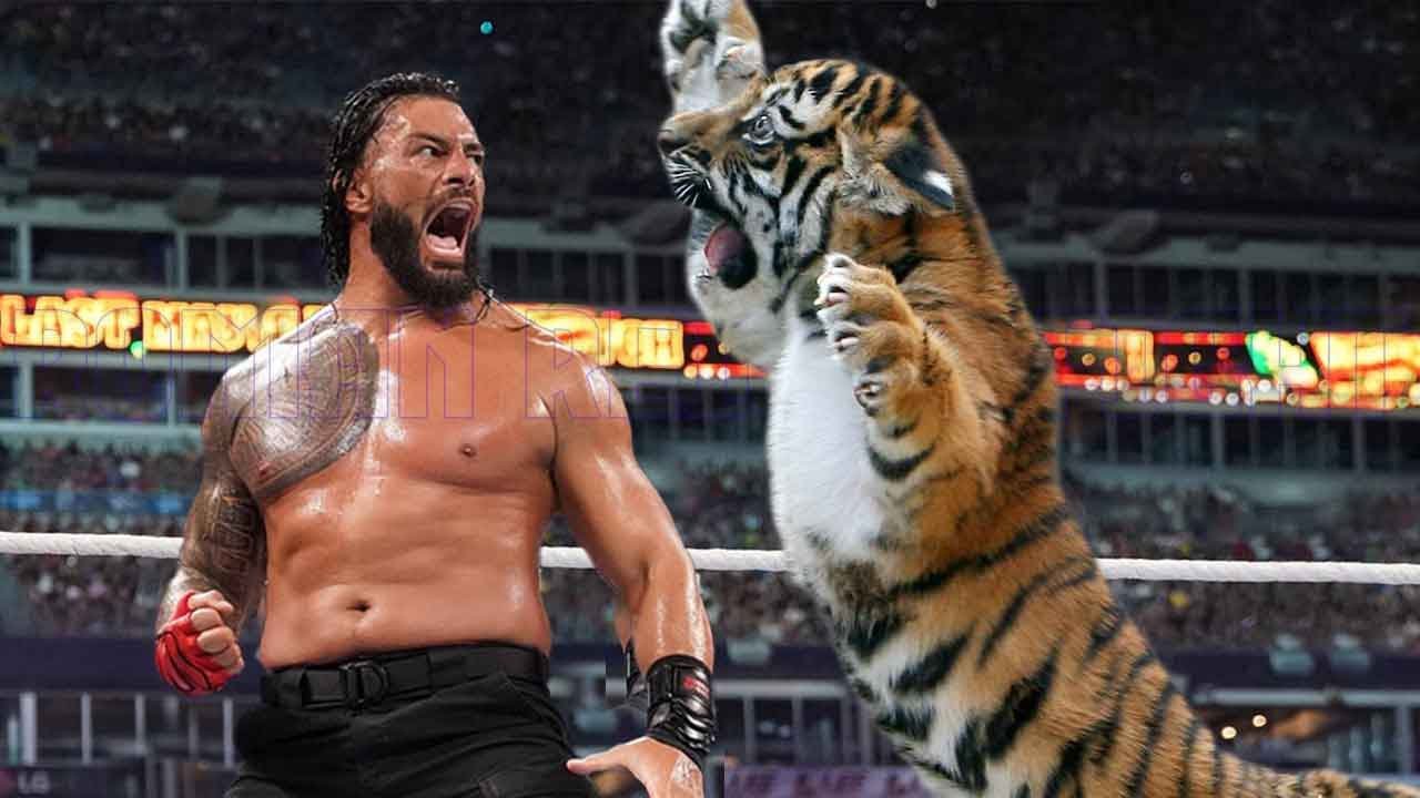 Roman Reigns vs Big Tiger Match - YouTube