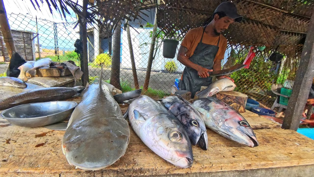 Massive Fish Sliced Skillfully in a Vibrant Village Fish Market - YouTube