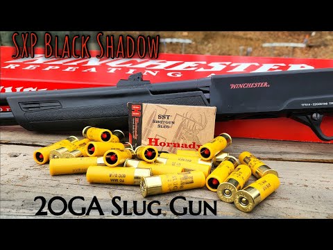 Winchester SXP Black Shadow DEER Slug Gun Review & Shoot 20 Gauge ...