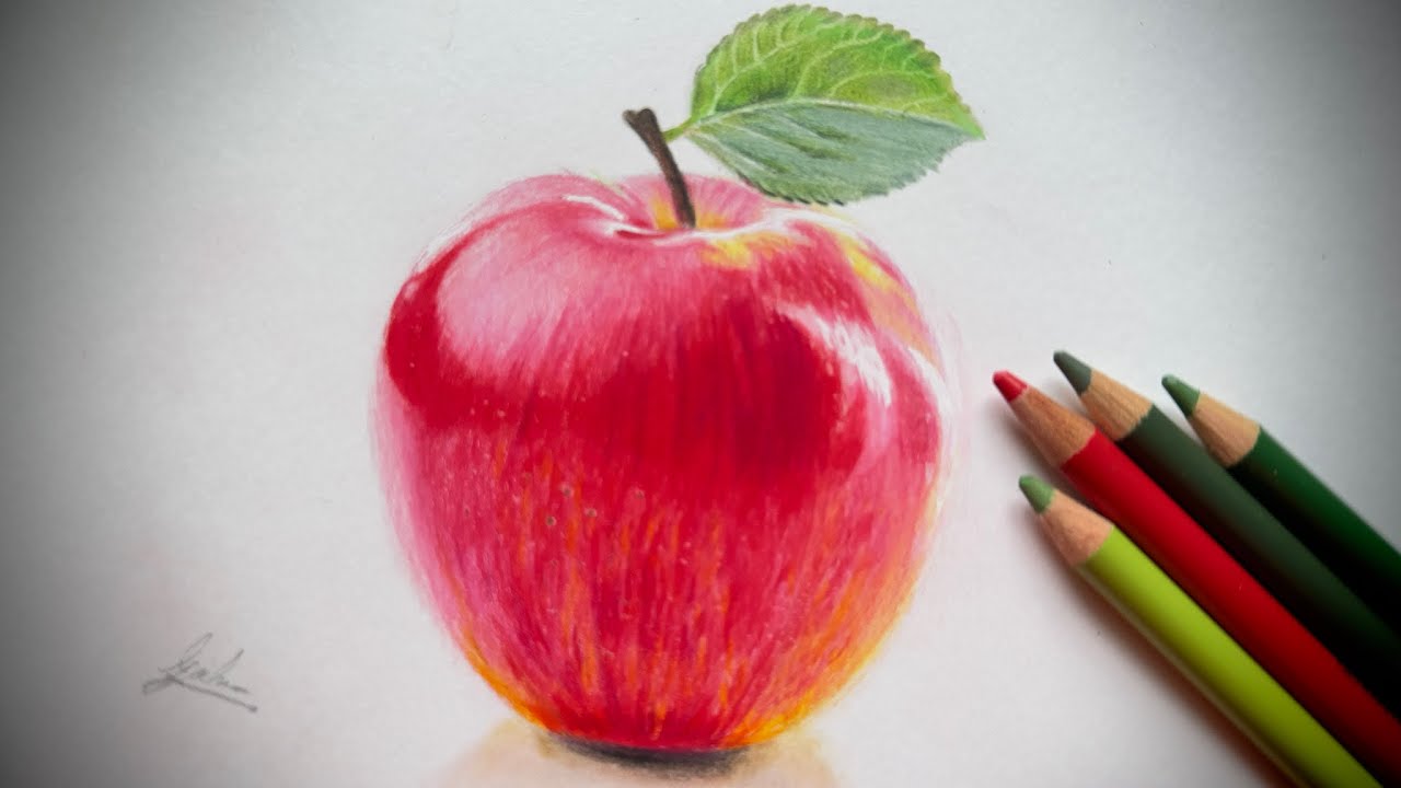 drawing of apple with color pencil \how to draw apple fruit \ realistic ...