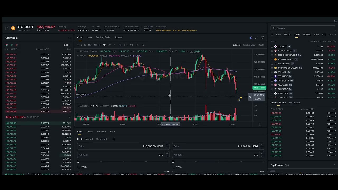 LIVE BTC/USDT CHART: Real-Time Bitcoin Price Tracker (Current Market ...