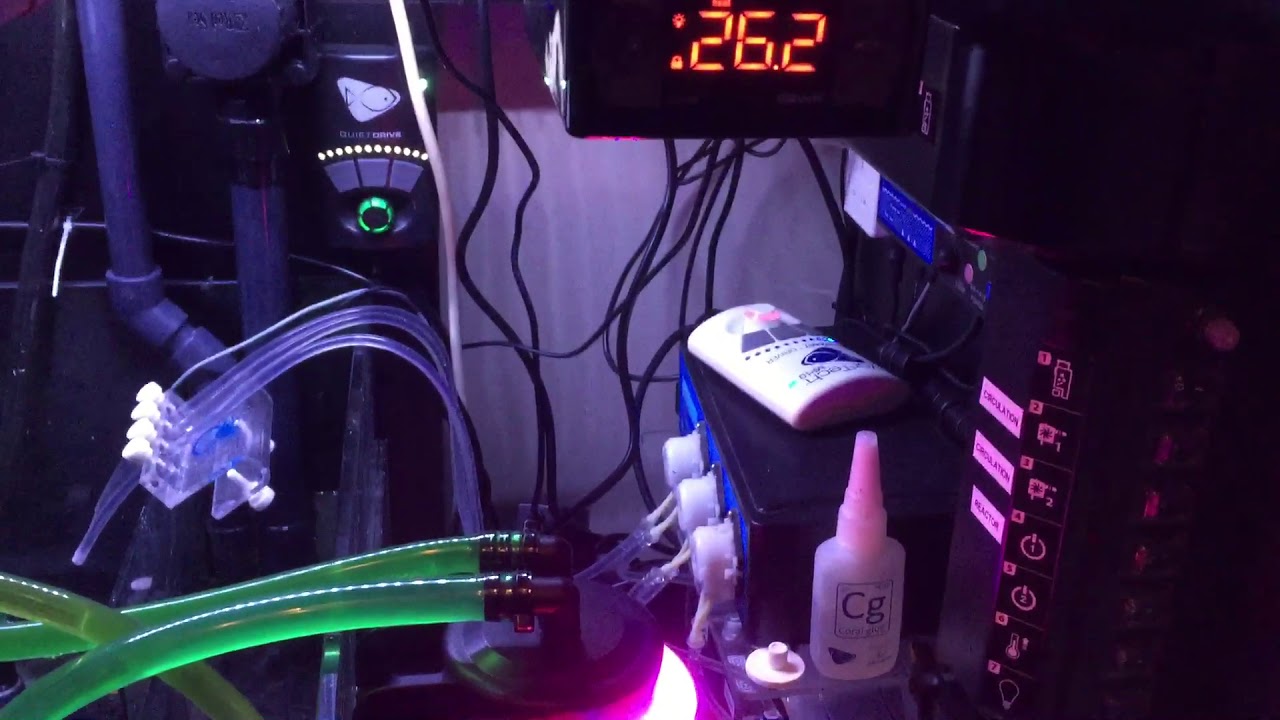 Red Sea E 260 - YouTube