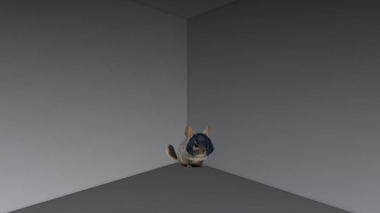 a chinchilla chilling in the corner of the room - YouTube