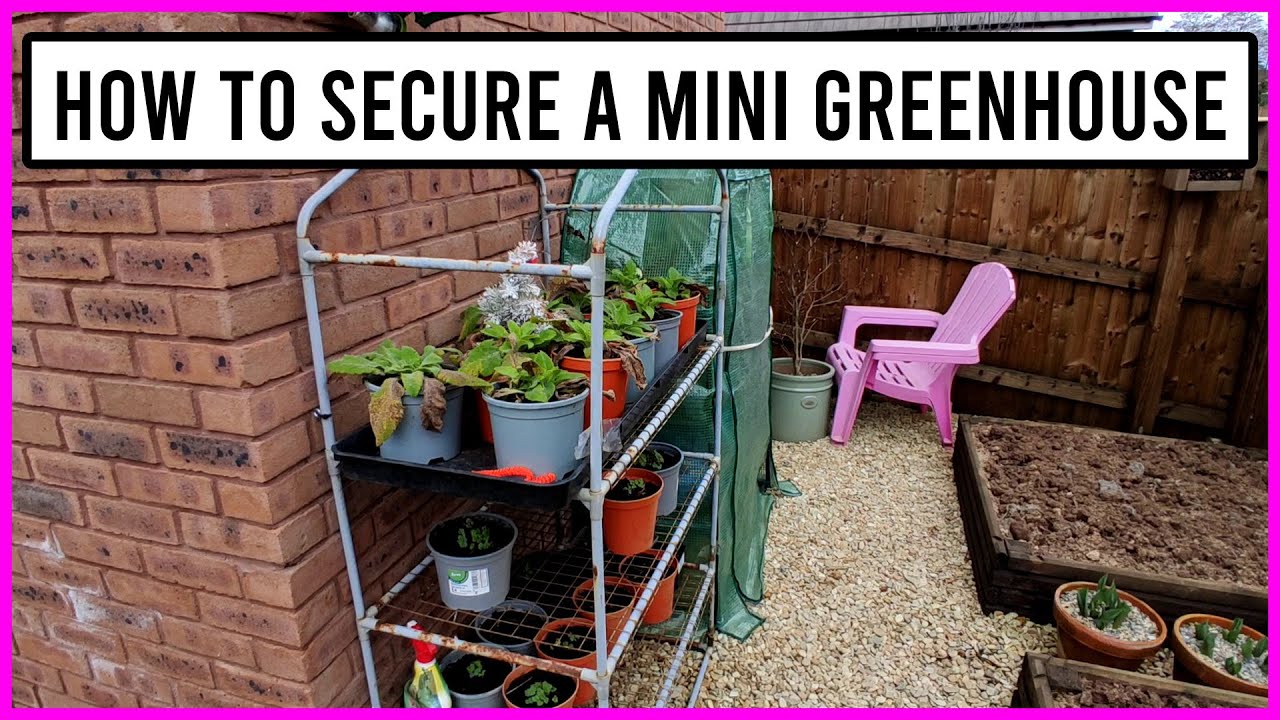 How to Secure a Mini Greenhouse and Prevent it Blowing over in the Wind ...
