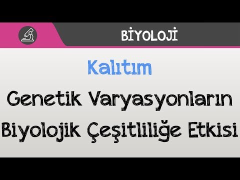Kalıtım - Genetik Varyasyonların Biyolojik Çeşitliliğe Etkisi