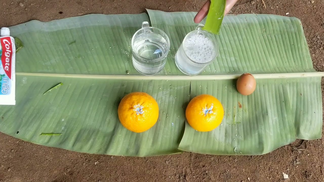 How to Grow Orange Tree from Orange New gardening method - YouTube