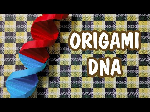 How to Fold Easy Origami DNA Strand Structure #dna #origami #diy - YouTube