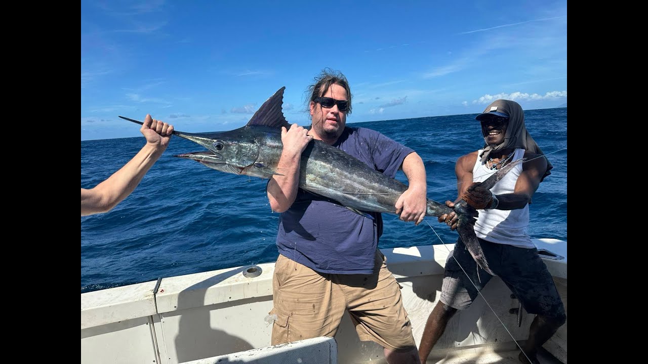 Caribbean deep sea fishing - Tobago - YouTube