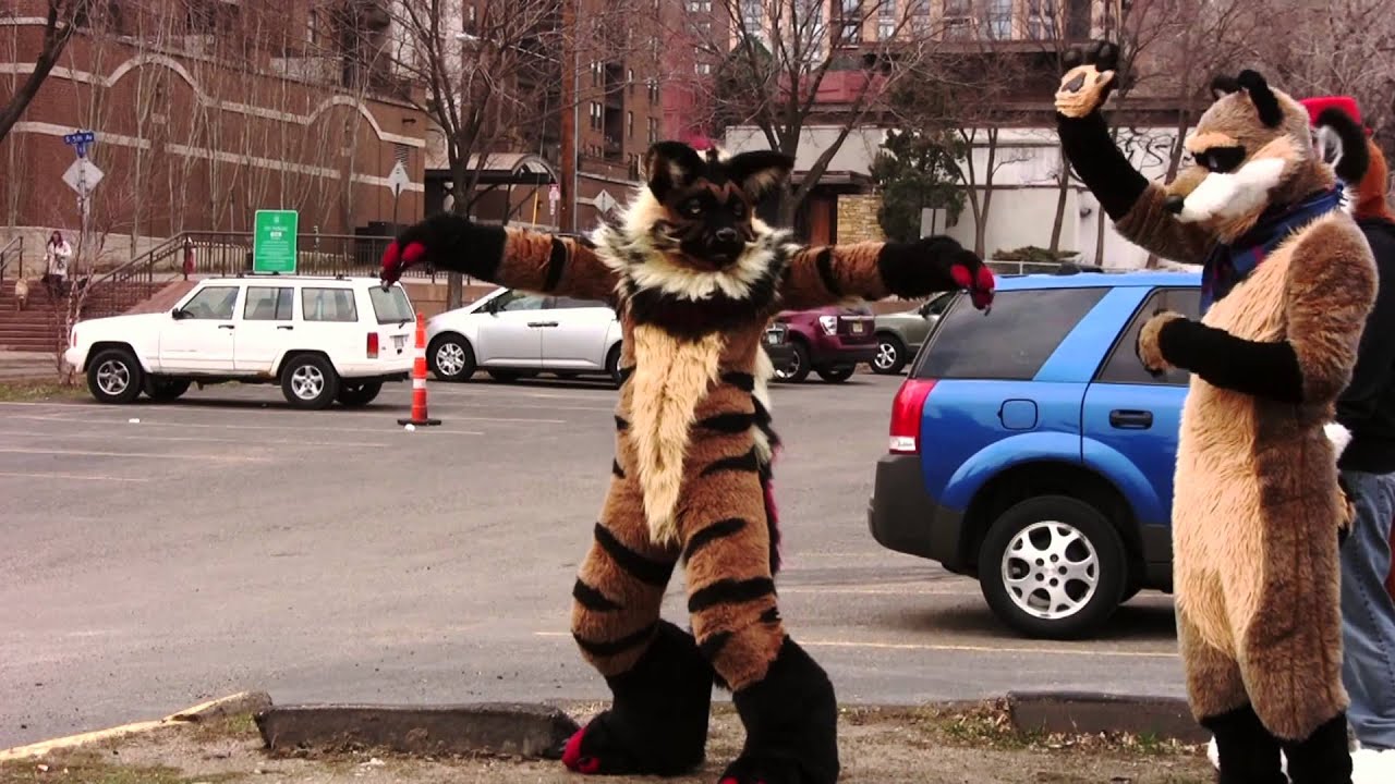 Dance of the Furries - YouTube
