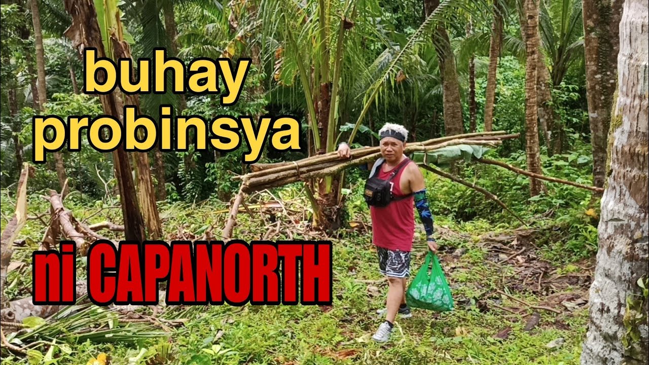 BUHAY PROBINSYA | BICOL ADVENTURE @capanorthvlog6437 - YouTube