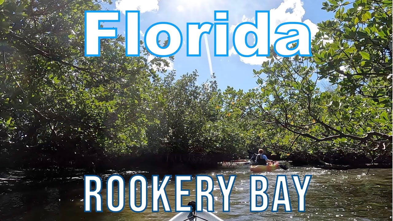 Kayaking Rookery Bay National Estuarine Research Reserve - YouTube