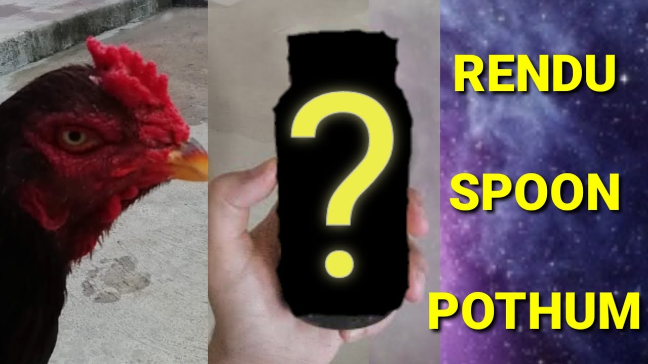 MOST AFFORDABLE MEDICINE (for roosters) to cure HEAT STROKE in தமிழ் ...