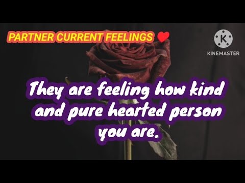 🥺PARTNER CURRENT FEELINGS ️ They are feeling how kind and pure hearted ...