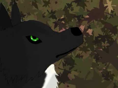 Wolf Howl - Animation Test.wmv - YouTube