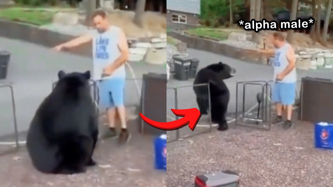 Man Protects Family from Wild Animal - YouTube