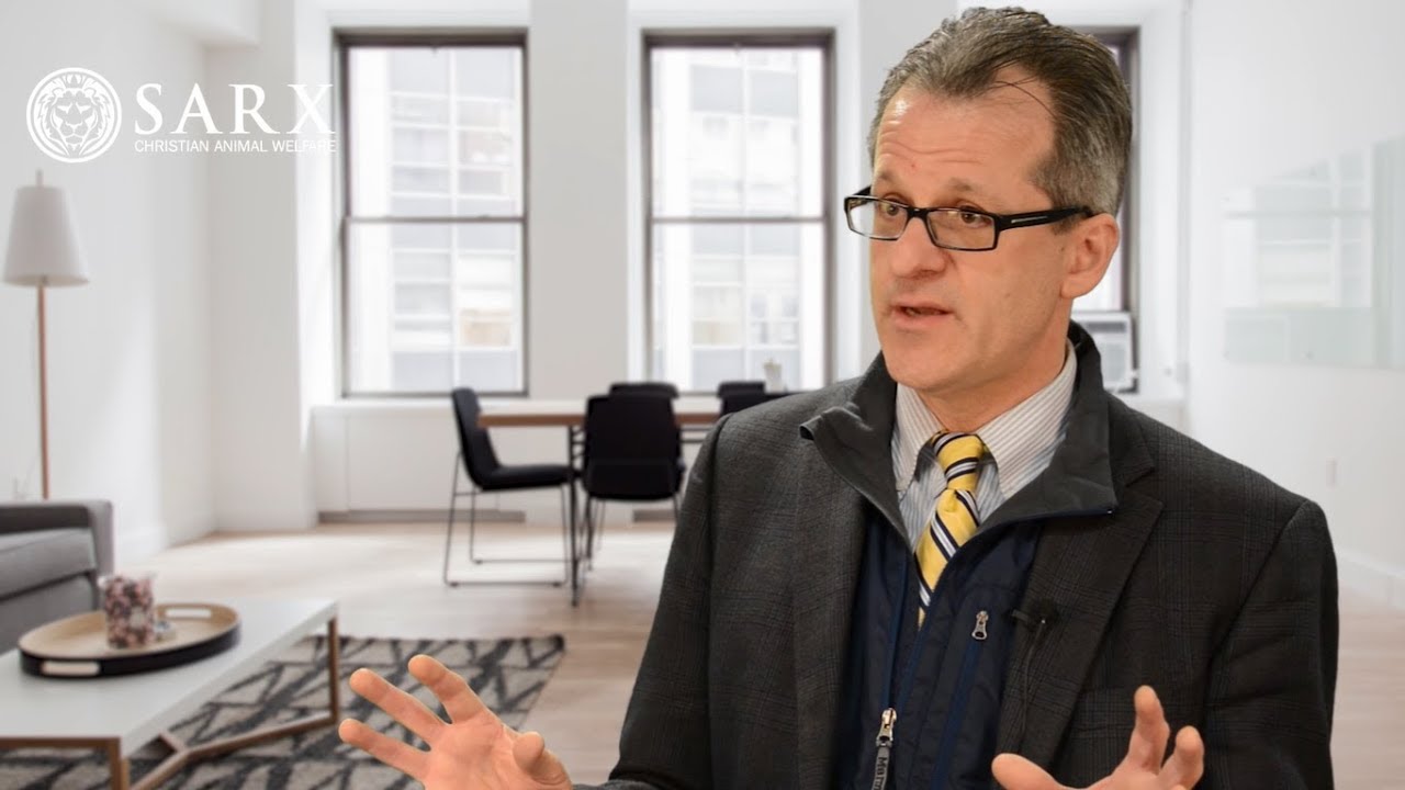 John Berkman - All of Creation Glorifies God - YouTube