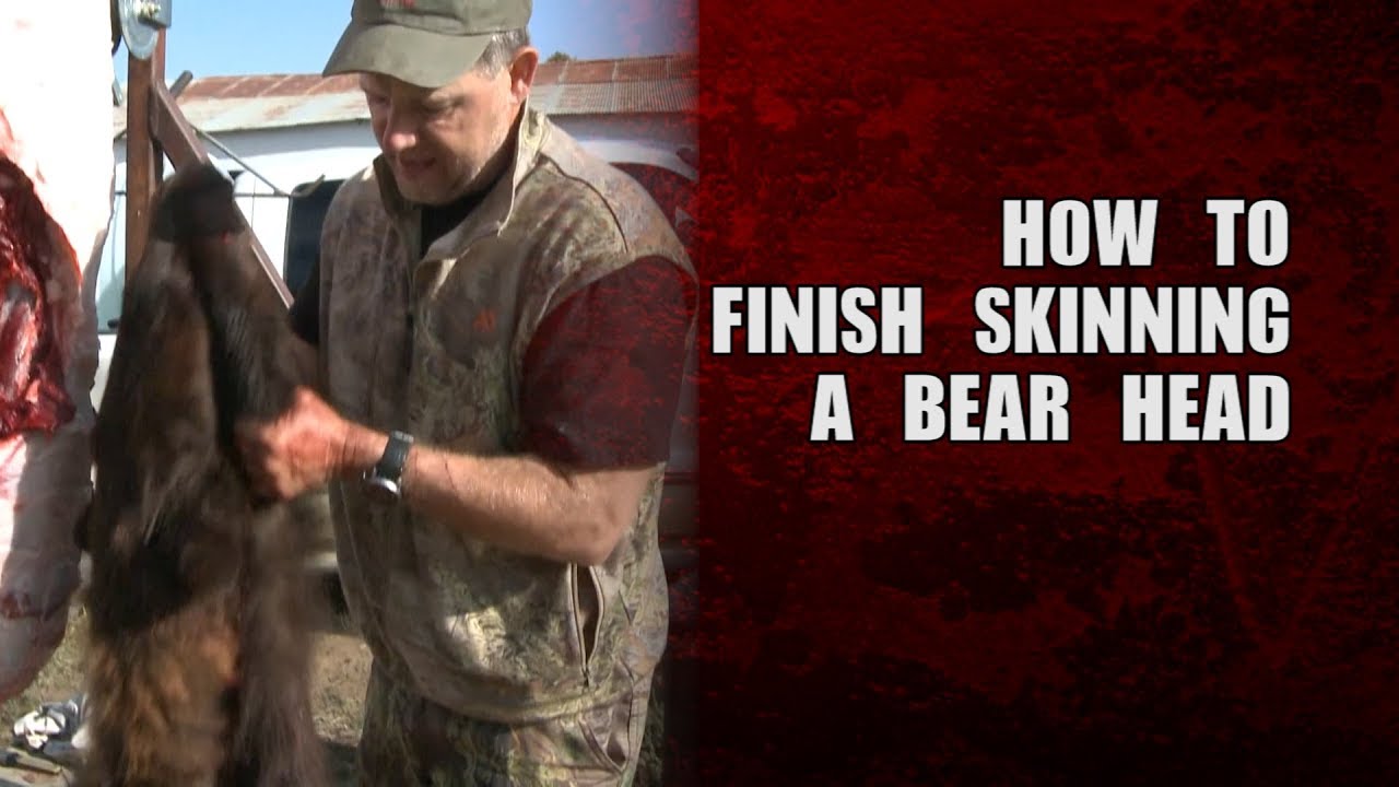 How to finish skinning a bear head - YouTube